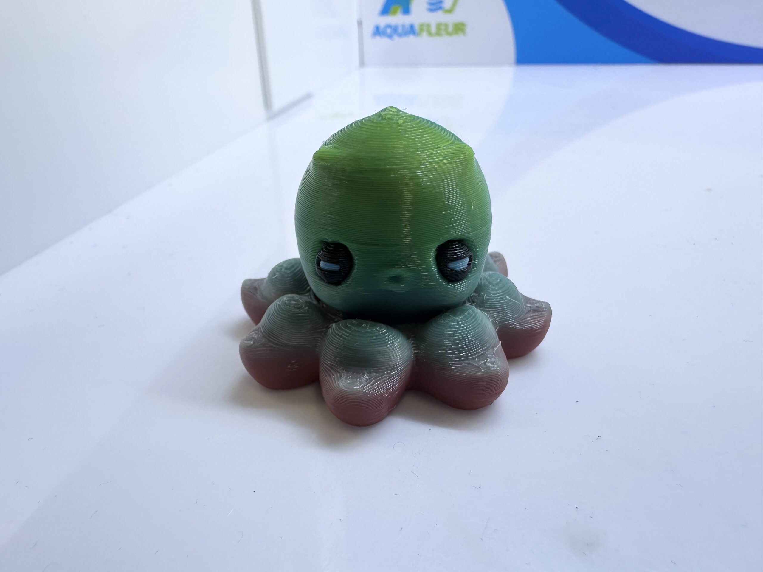 3D Printed Octo Spinner - Mother of Aquatics